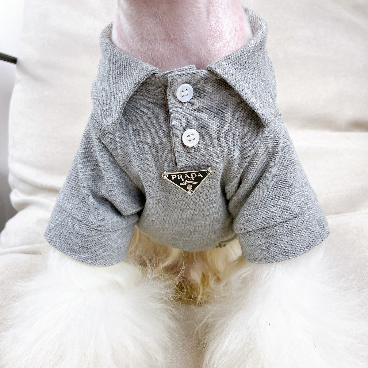 Pawda Dog Polo – Doggie Essentials Pawtique